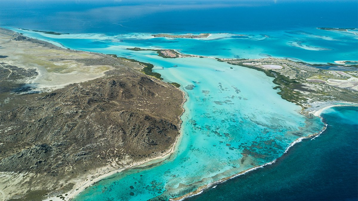 Isla la Orchila: ubicación geográfica, clima, vegetación y mucho más