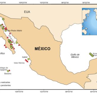 Conozcamos Todas Las Islas Que Hay En El Mundo