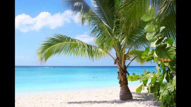 Tuvalu: historia, ubicación, capital, bandera, clima, turismo y más