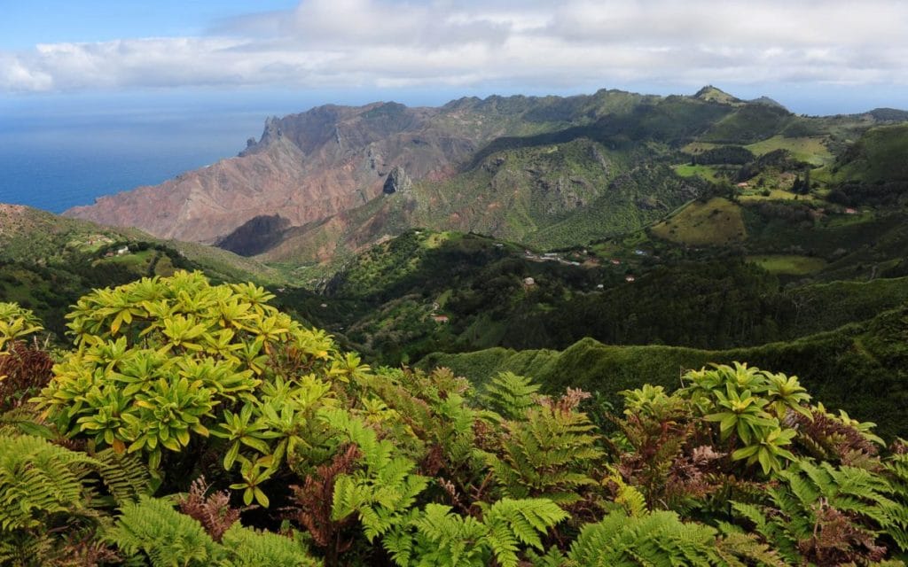 Isla de Santa Elena: mapa, lugares turísticos, flora, fauna y más